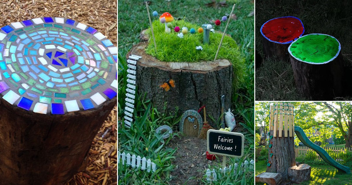 What Creative Things To Do With Tree Stumps