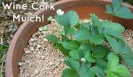 35 DIY Wine Cork Ideas for the Garden and Home | Easy Wine Cork Crafts