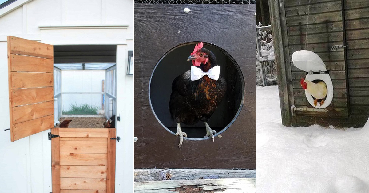 13 Best DIY Chicken Coop Door Ideas - Hello Lidy