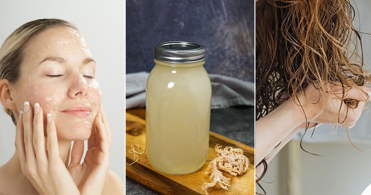 DIY Sea Moss Gel Recipes for Skin and Hair - Hello Lidy
