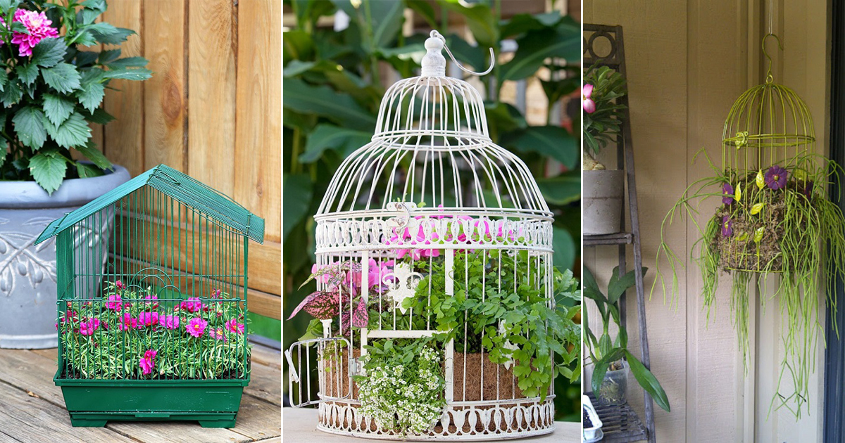 8 Peculiar DIY Birdcage Planter Ideas - Hello Lidy
