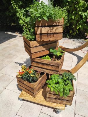 12 DIY Mobile Garden Ideas - Hello Lidy