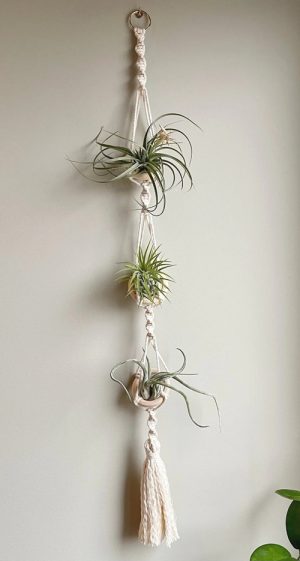 7 Macrame Air Plant Hanger Free Patterns - Hello Lidy