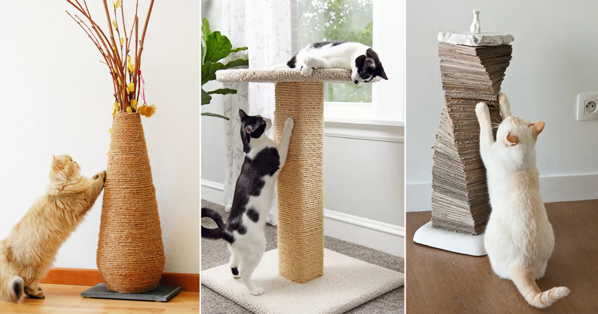 13 DIY Cat Scratcher Ideas - Hello Lidy