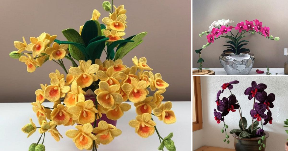 9 Crochet Flowering Orchids Free Patterns Hello Lidy