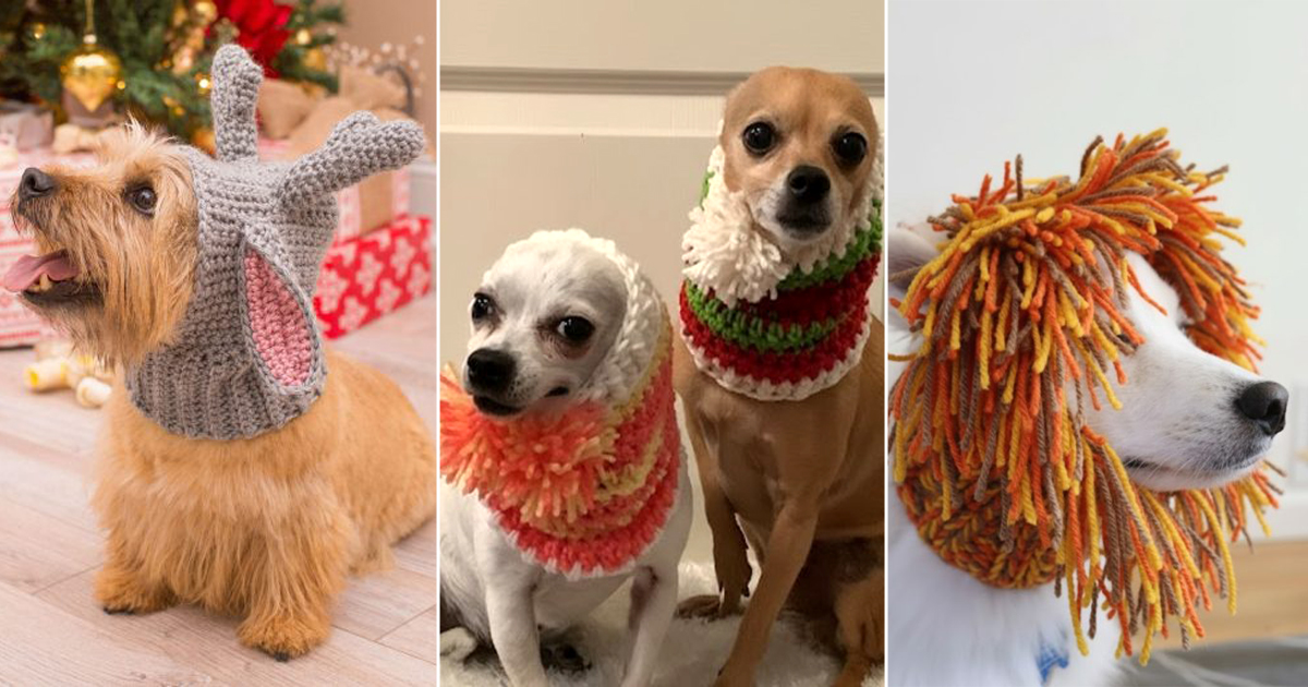 8 Crochet Dog Snood Free Patterns - Hello Lidy