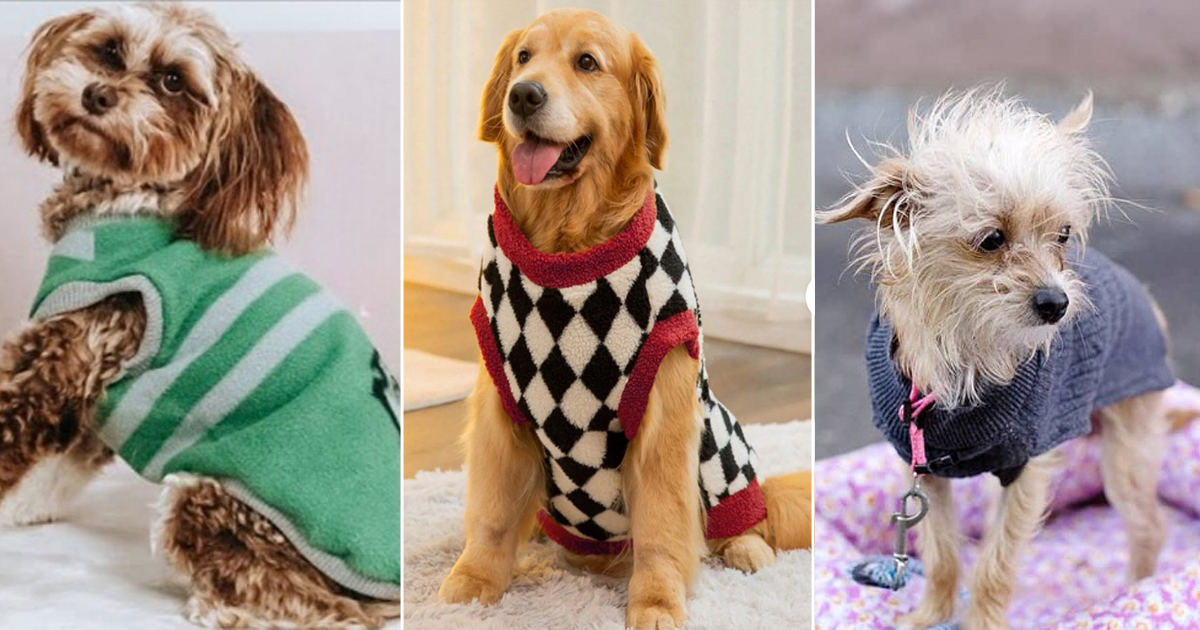 7 Dog Sweater Free Sewing Patterns - Hello Lidy