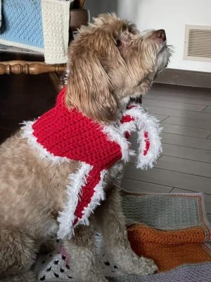 8 Crochet Dog Scarf Free Patterns - Hello Lidy