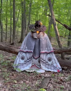 4 Moth Cloak Free Sewing Patterns - Hello Lidy
