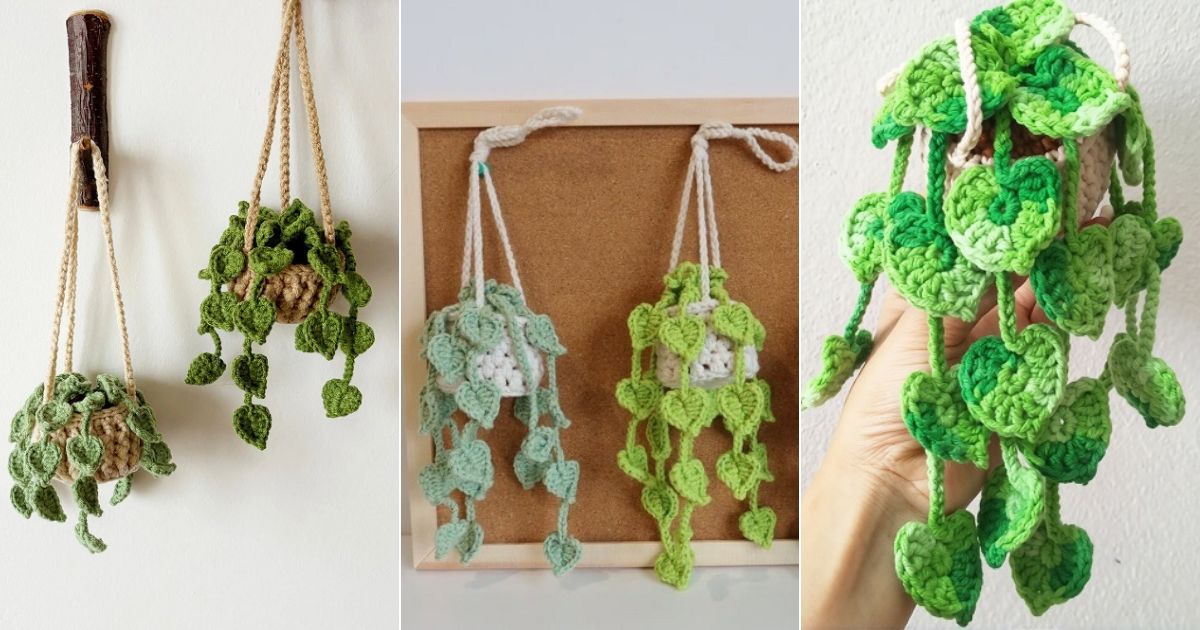 6 Crochet Pothos Vine Free Patterns - Hello Lidy